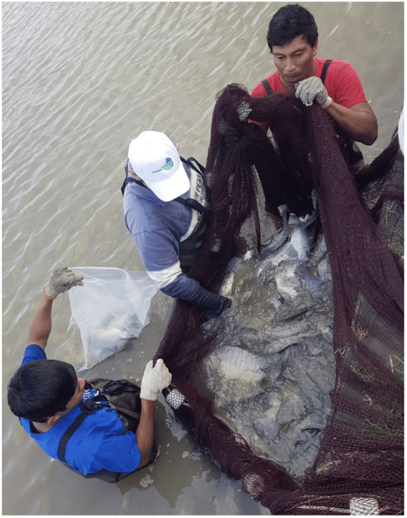 Bringing Sustainable Development to Paraguay Communities through Fish ...