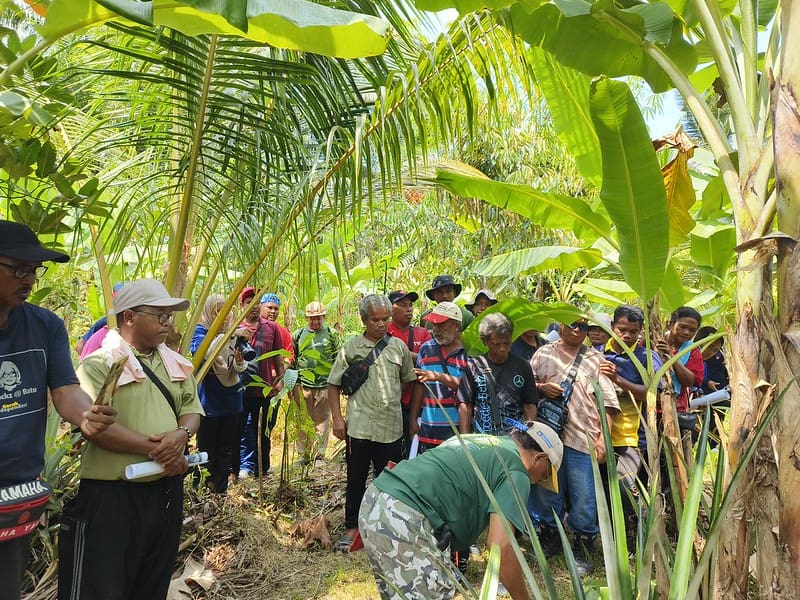 Malaysian Farmers Share Success Stories with GPF-led Syntropic ...